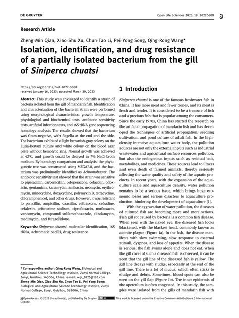 Pdf Isolation Identification And Drug Resistance Of A Partially Isolated Bacterium From The