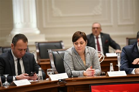 Hristijan Mickoski Денеска се одржа третиот Национален совет за развој на кој се разгледаа