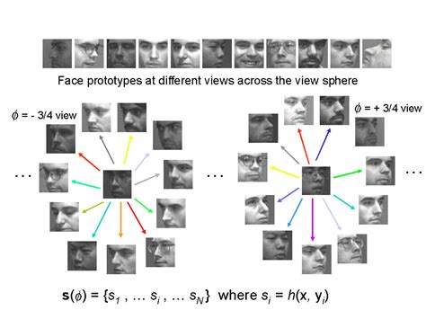 Head Pose Estimation
