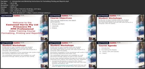 Formatting Printing And Reporting With Primavera P6 Ppm SoftArchive