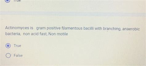 Solved Actinomyces Is Gram Positive Filamentous Bacilli With