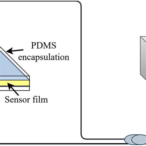 Schematic Of Piezoelectric Pvdf Nanosilica Based Touch Sensor Download Scientific Diagram