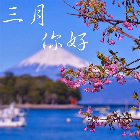最美人间三月天三月第一天的优美文案 知乎