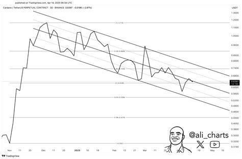 Cardano Could Drop To 054 If This Support Gives Out Analyst Says
