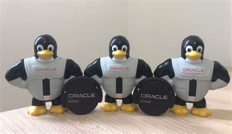 Como Atualizar O Oracle Linux 8 Para Oracle Linux 9 César Dba