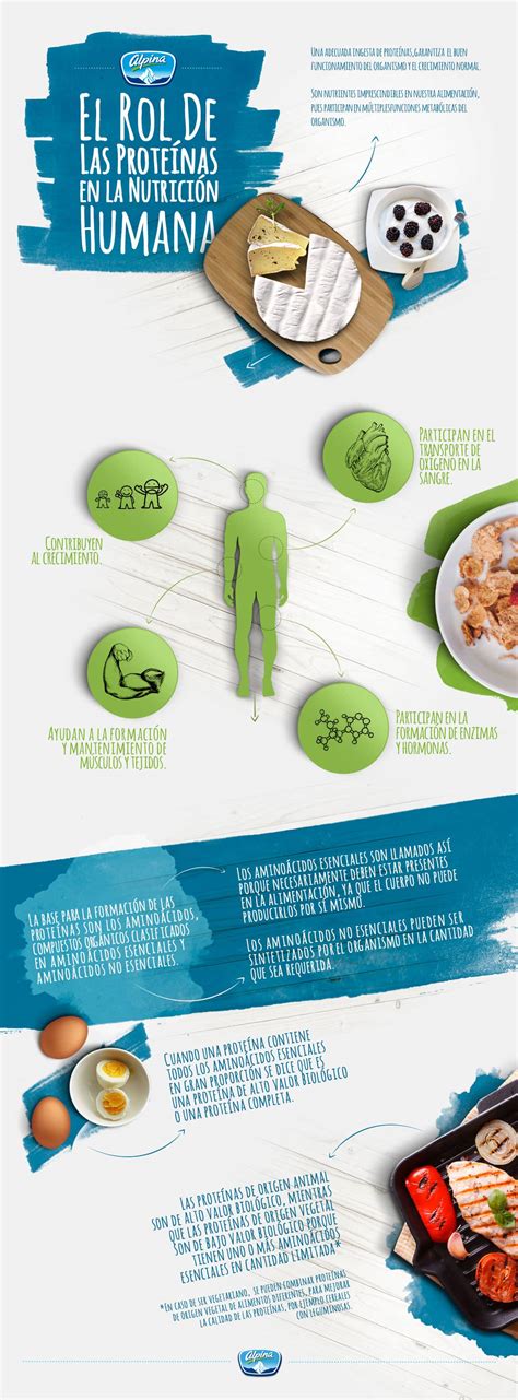 Cuales Son Las 10 Principales Funciones De Las Proteínas En El Cuerpo