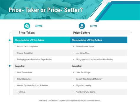 Smart Software Pricing Strategies Price Taker Or Price Setter Ppt Portfolio