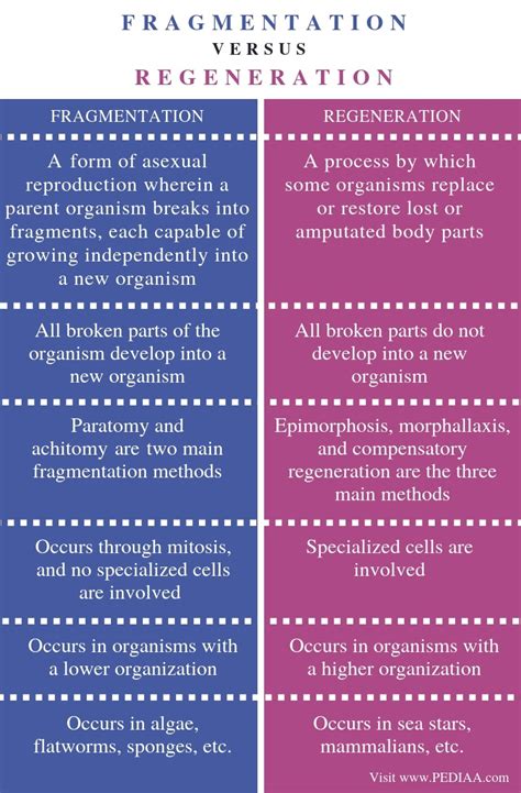 What Is The Difference Between Fragmentation And Regeneration Pediaa Com