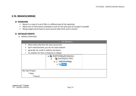 TFS Session Version Control PDF