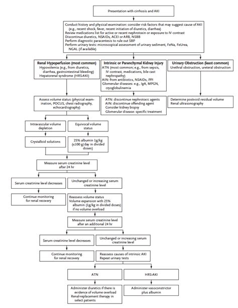 Nejm On Twitter Volume Expansion Is Central In Reversing Aki Due To