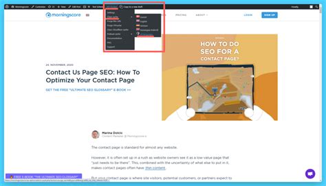 Fixing Alt Tags Not Showing In Wordpress In 5 Min No Coding