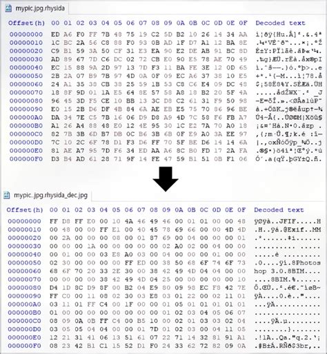 Free Rhysida Ransomware Decryptor Published — How To Fix Guide