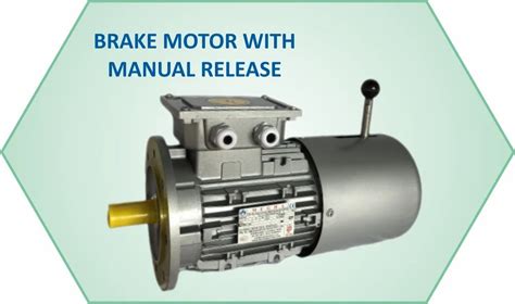 22 Kw Brake Motor With Manual Release At Best Price In Vadodara Id