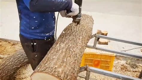 표고버섯 종균 작업 Youtube