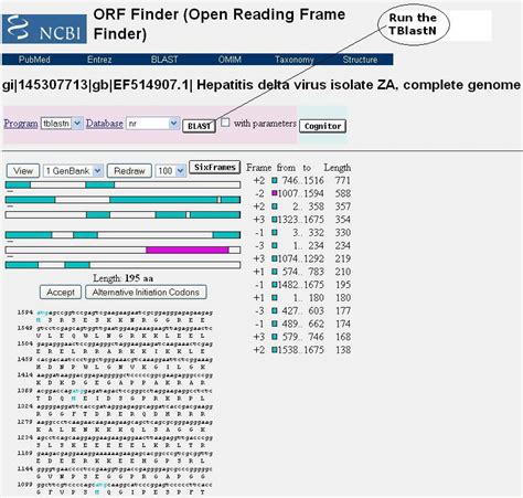 Predicted Open Reading Frame For Conserved Genome Isolate Of Turkey Download Scientific Diagram