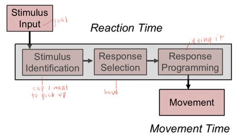Concepts In Motor Control Flashcards Quizlet