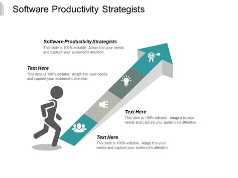 Software Productivity Strategists Ppt PowerPoint Presentation Show Maker Cpb