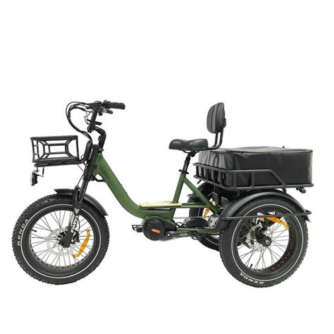 48v 리튬 배터리화물 트라이크 지방 타이어 3 륜 자전거 중앙 모터 1000w 중간 전기 세발 자전거와 1000w 중간 전기 세발 자전거