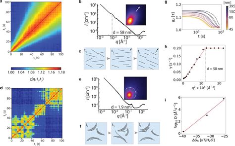 Structural Evolution Of Hydrated Mt A Xpcs Two Time Correlation Of Download Scientific Diagram