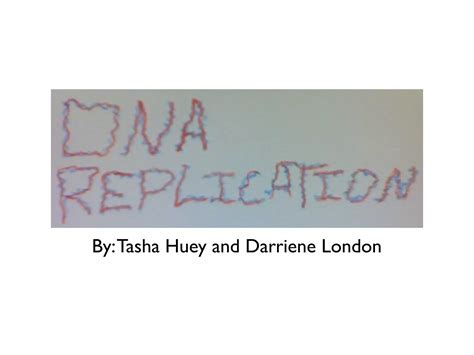 Dna Replication Model Ppt