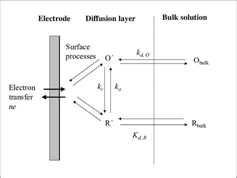 1 Pathway Of A General Electrode Reaction Download Scientific Diagram
