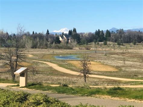 The Miracle Of Clover Creek Preserve