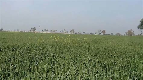 Test Object Detection Dataset By Pearst