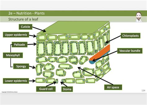 Igcse 9 1 Ultimate Presentation Bundle