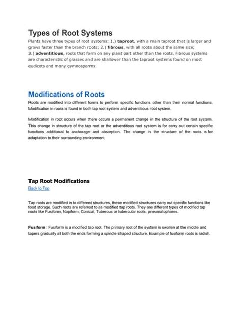 Root Characteristics Types Structure And Functions Pptx