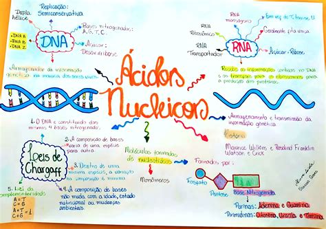 Ácidos Nucleicos Dna E Rna Dna E Rna Mapa Mental Mapa Conceitual