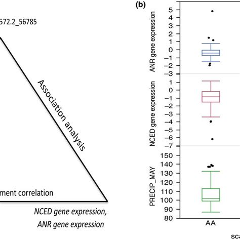 Loblolly Pine Trees Pinus Taeda L In The Harrison Experimental Download Scientific Diagram