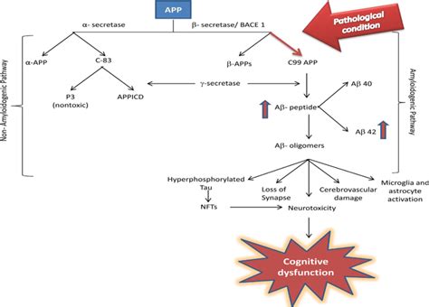 Diagrammatic Presentation Of App Processing Pathways [1] Download Scientific Diagram