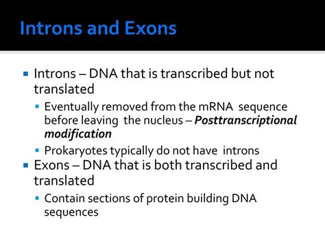 Topic 7 Nucleic Acids And Proteins Ppt Download