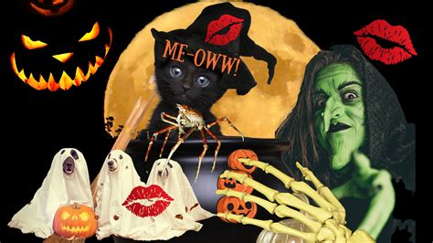 Mewing With A Mealy Mouthed Scardy Cat Skare D Katt The Making Of Me Oww By Marilyn Flower