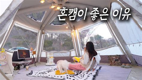 Vlog 대형 에어텐트로 겨울철 휴식처 만들기 강아지와 함께 캠핑 솔로캠핑 스타피쉬 에어텐트 트리독스 캠핑장 Eng Sub Youtube