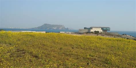 바람부는 제주 선옵토론실 선물옵션 팍스넷 증권포털