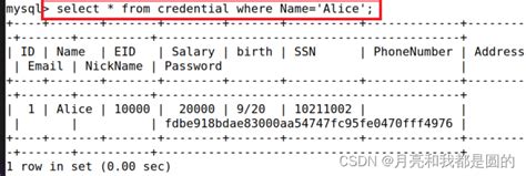 网络攻防 Sql注入网路攻防sql注入 Csdn博客