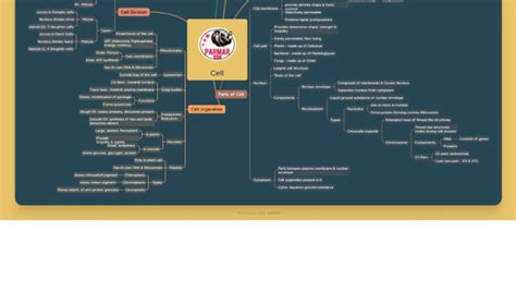 Cell 1 Pdf