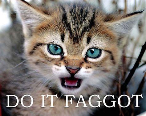 Do It Faggot Cat