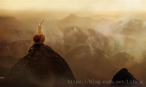 Compilation Failed； See The Compiler Error Output For Details：compilation Failed See The