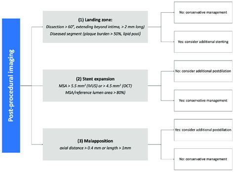 Algorithm For Stent Optimization Based On Post Procedural Imaging