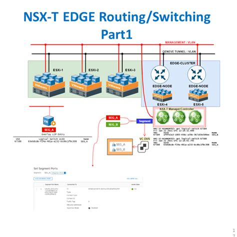 Nsx T Series Part 14 Nsx T Segment Without Ip Subnetgateway