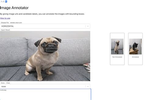 Data Science Struggle Image Annotator With Bounding Box
