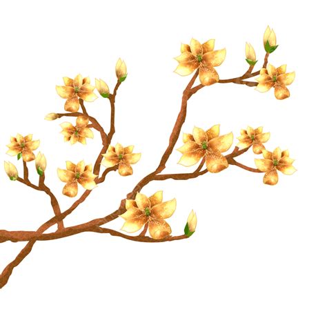 금박목련꽃가지 암퇘지 옥란화 신선한 꽃 Png 일러스트 및 Psd 이미지 무료 다운로드 Pngtree