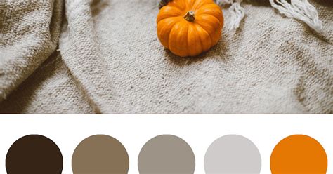 Unity Search The Color