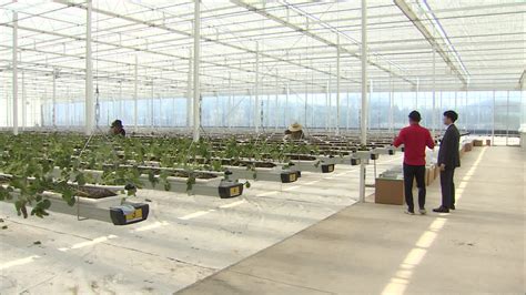 전국 두 번째 스마트팜 혁신밸리미래 농업 이끈다