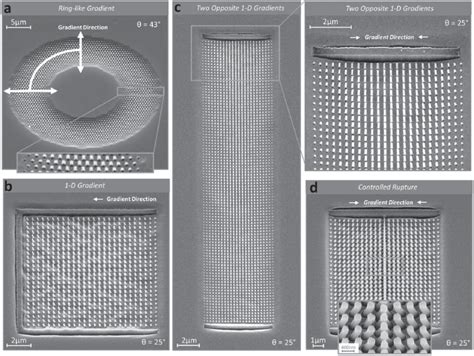 Nanopillar Arrays With Height Gradients In Arbitrary Directions A Download Scientific Diagram