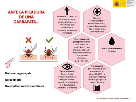Tratamiento Picadura De Garrapata Pdf Kaaqk