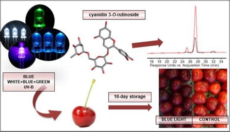 Leds Impact On Post Harvest Fruit Quality Felix Instruments