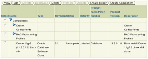 Build A Pre Created Oracle Home Image For Database Provisioning With